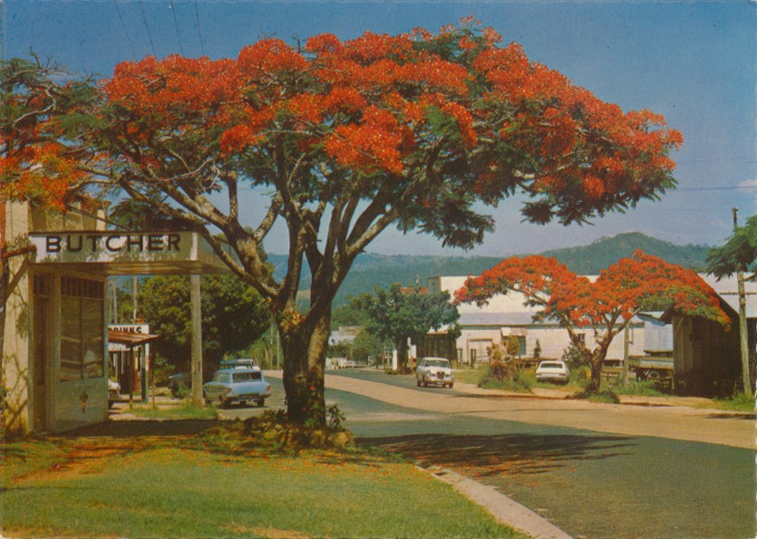 Home - Woombye Butchery
